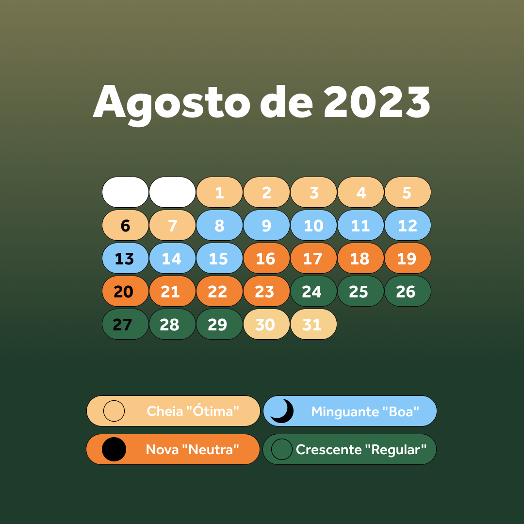 Calendario Lunar Pescadores De Plantao